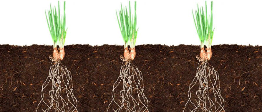 Come together, right now, over Zoom: NFU-O AGM and Convention recapped ...