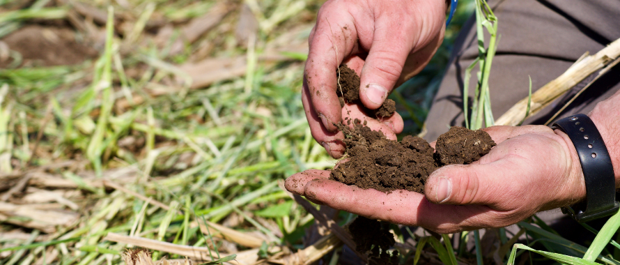 Mitigating the effects of extreme weather events through soil health ...