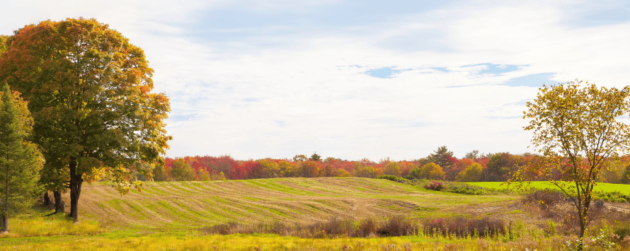 Fertile grounds: Exploring alternative land access opportunities | NFU ...
